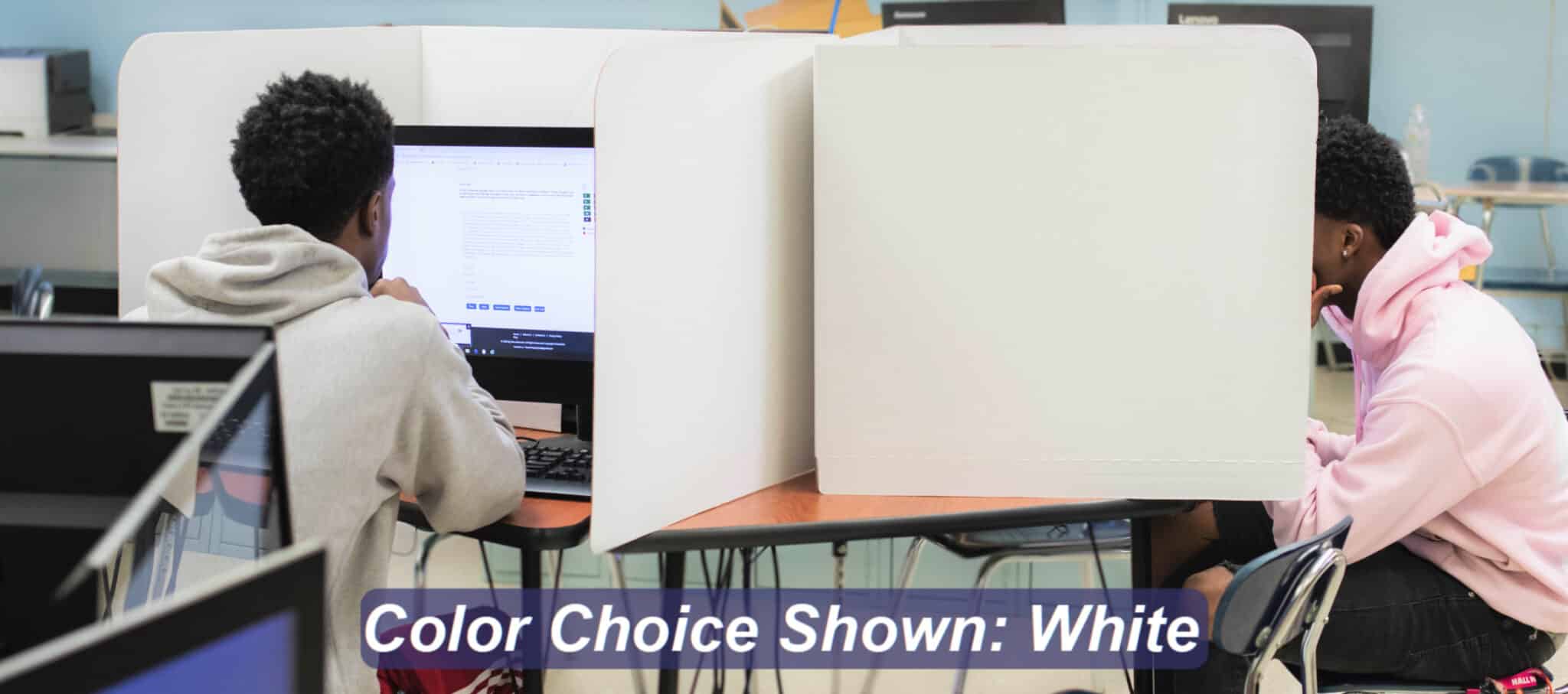 Computer Dividers - Computer Privacy Shields for Secure Testing